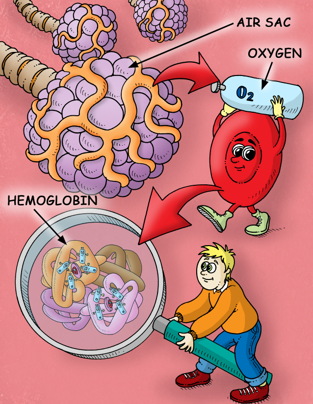 Exploring the Wonders of Human Blood: A Divine Creation - Dr Richard ...